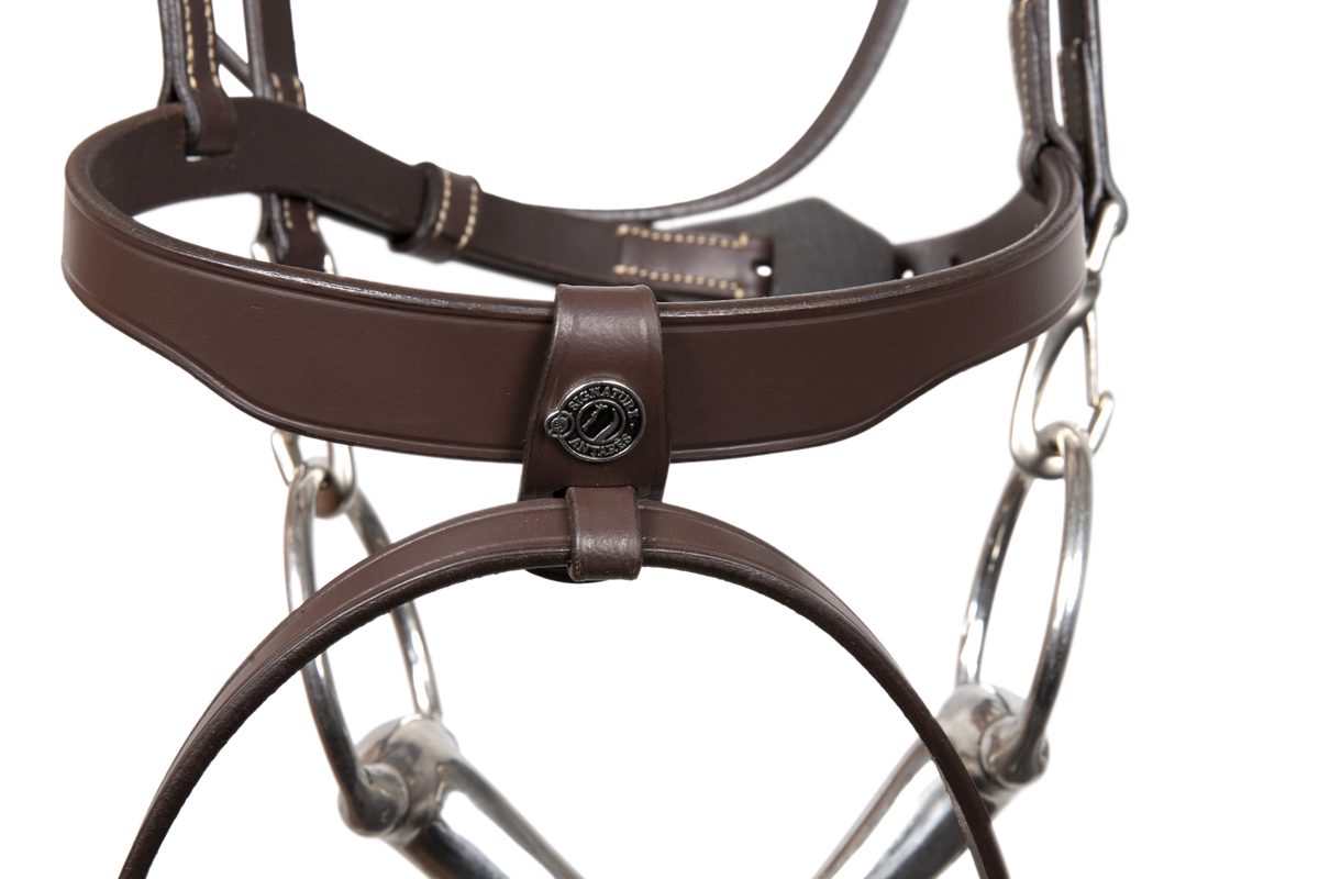 SIGNATURE - Training Bridle – EQ Custom